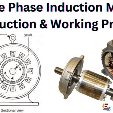 Three Phase Induction Motor | Construction and Working Principle