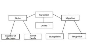 Labour – Types, Characteristics, Importance and Efficiency