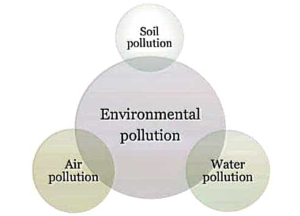 5 Types of Environmental Pollution, Causes and Effects