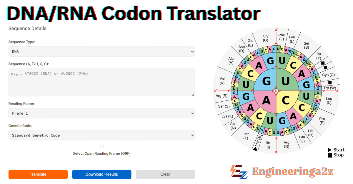 DNA/RNA Codon Translator - Engineeringa2z